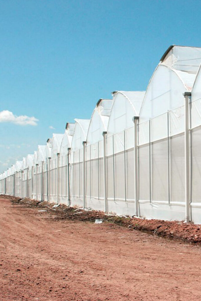 We Care - Mass Farms